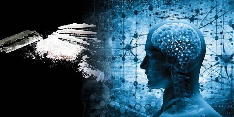 Cocaine Use Can Damage All Important Organs – Meditnor